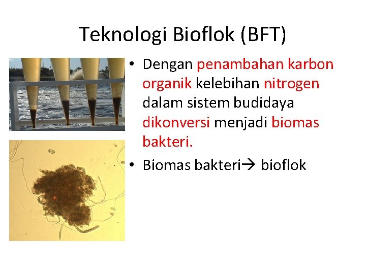 Definisi Bioremediasi Setiap proses yang menggunakan mikroorganisme fungi