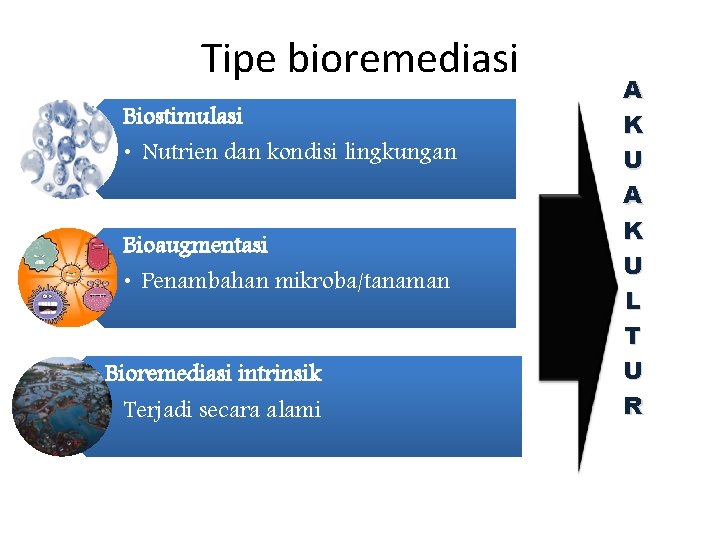 Definisi Bioremediasi Setiap proses yang menggunakan mikroorganisme fungi