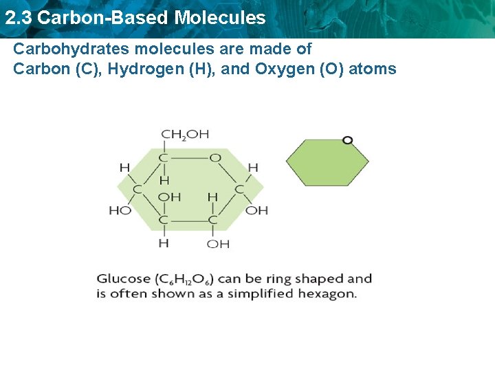 2 3 CarbonBased Molecules KEY CONCEPT Carbonbased molecules