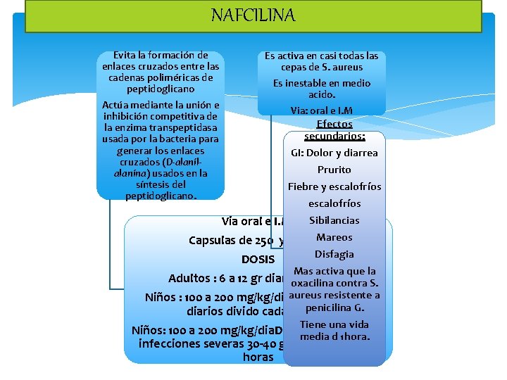 AMINOPENICILINAS AMPICIL INA AMOX ICILIN A BACAM PICILIN