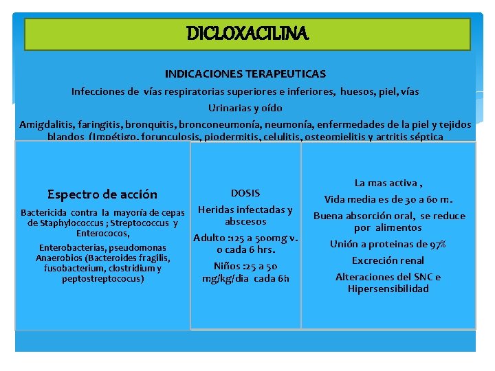 AMINOPENICILINAS AMPICIL INA AMOX ICILIN A BACAM PICILIN