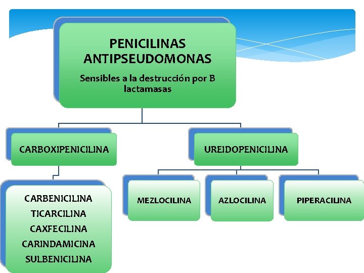 AMINOPENICILINAS AMPICIL INA AMOX ICILIN A BACAM PICILIN