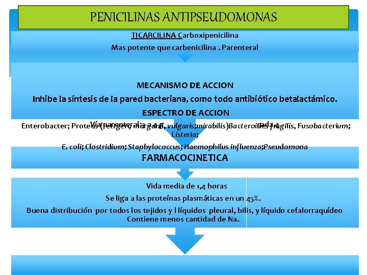 AMINOPENICILINAS AMPICIL INA AMOX ICILIN A BACAM PICILIN