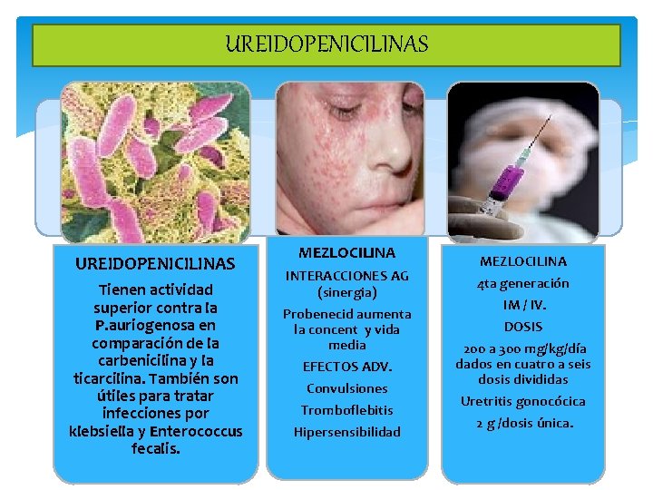 AMINOPENICILINAS AMPICIL INA AMOX ICILIN A BACAM PICILIN