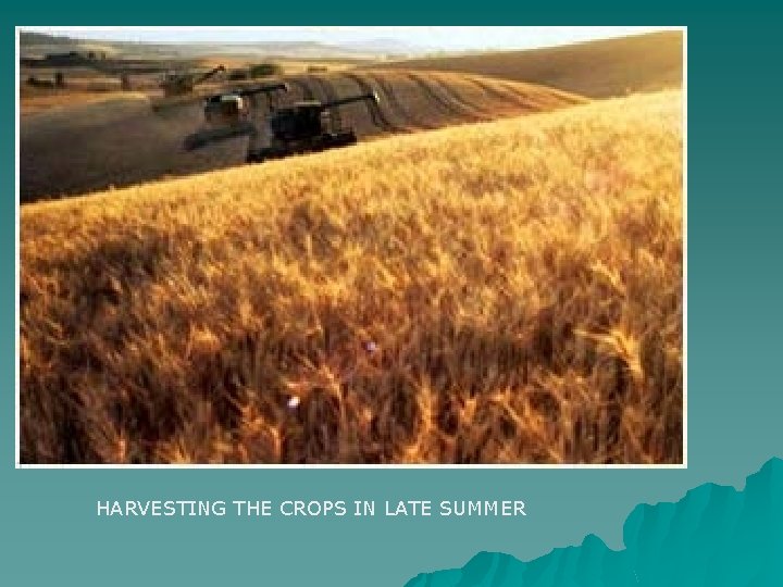 TEMPERATE CLIMATES MILD CLIMATES OF THE WORLD TYPES