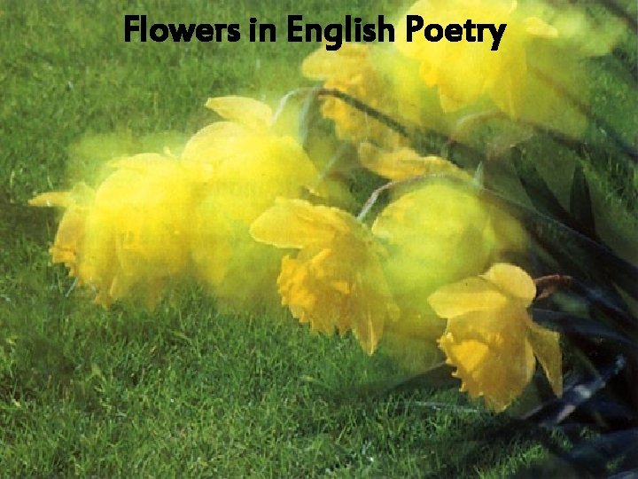 Flowers in English Poetry You like flowers dont