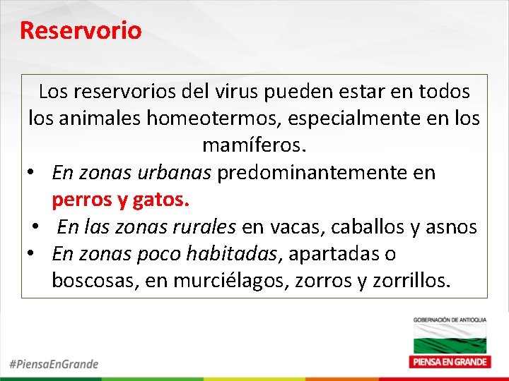 VIGILANCIA EN SALUD PBLICA INTEGRADA DE RABIA HUMANA