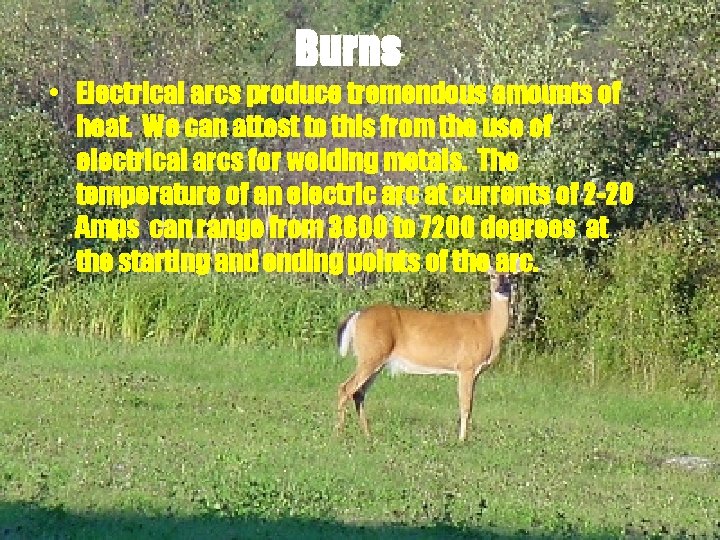 Electrical Hazards Electrical accidents in the mining industry