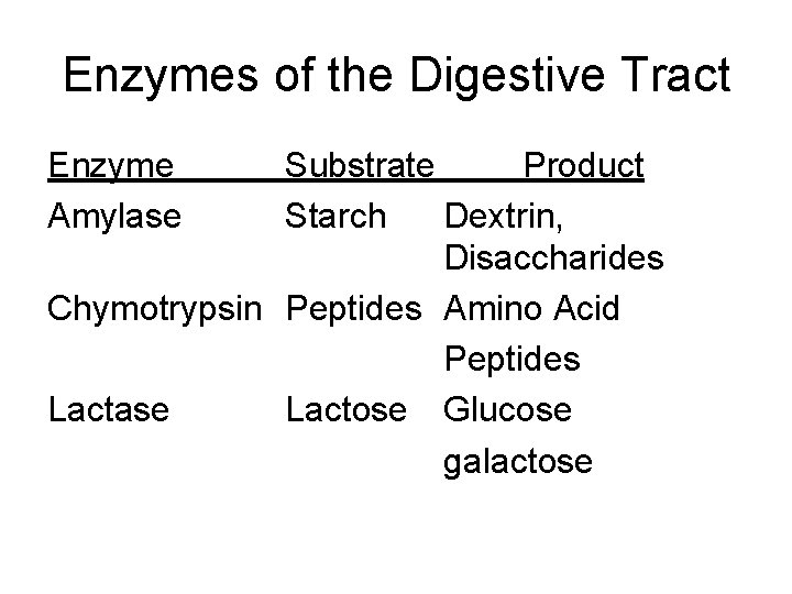 Digestive System of Animals Animal Science Frameworks Presentation