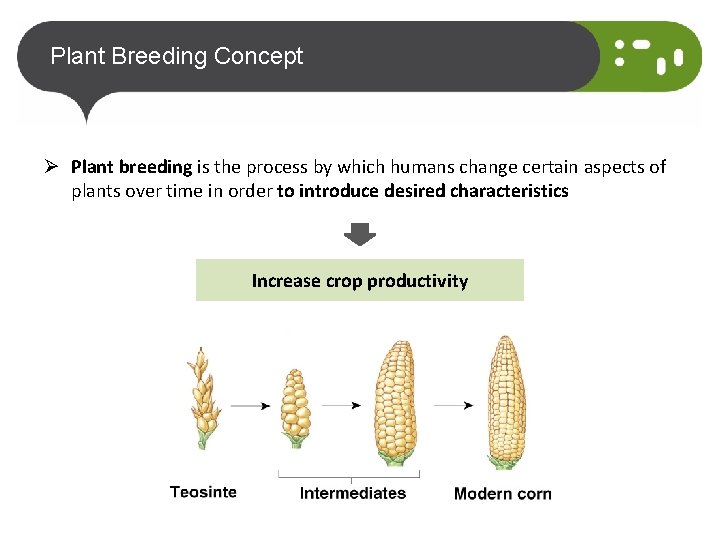 Plant Breeding across times challenges and achievements Susana