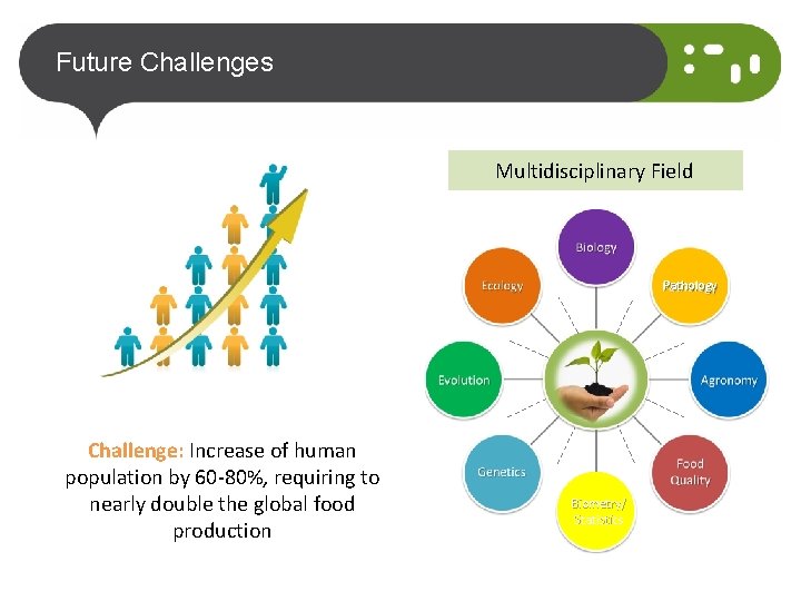 Plant Breeding across times challenges and achievements Susana