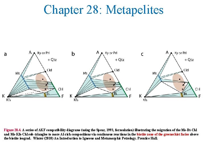 Chapter 28 Metamorphism of Pelitic Sediments Mudstones and