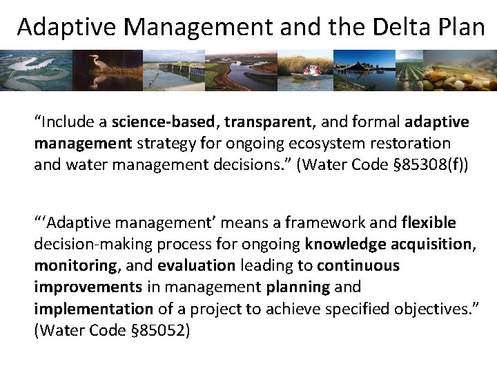 Adaptive Management and the Delta Plan Include a