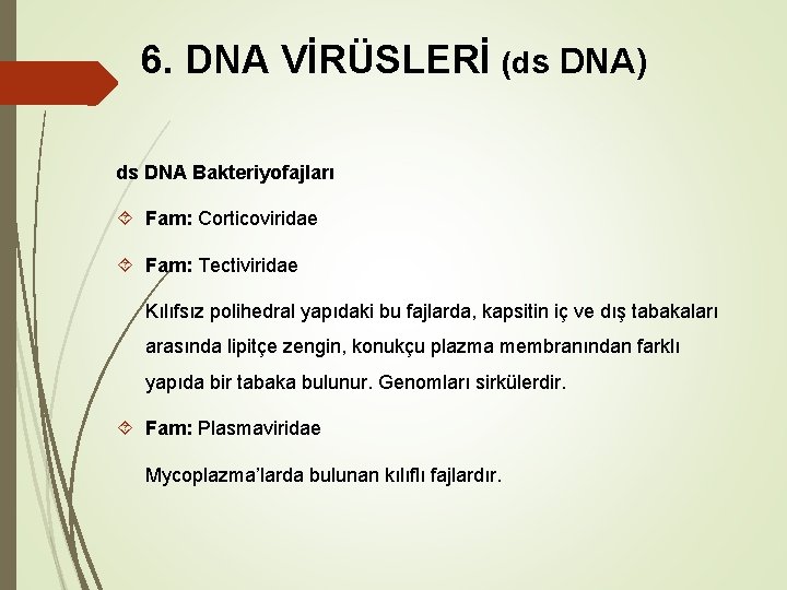 6 DNA VRSLER ss DNA Fam Parvoviridae Polihedral