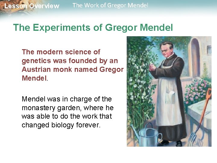 Lesson Overview The Work of Gregor Mendel Lesson