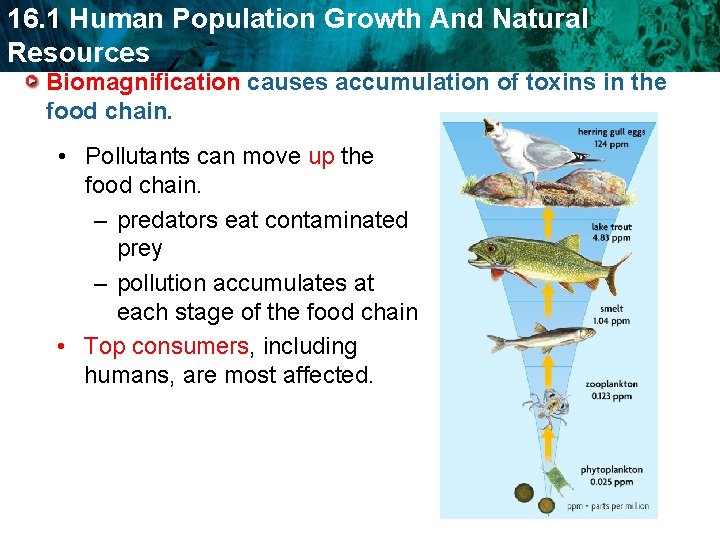 16 1 Human Population Growth And Natural Resources
