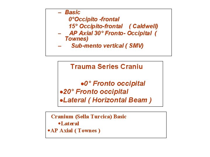 Lecture 27 Radiography of cranial Bones Basic 0Occipito