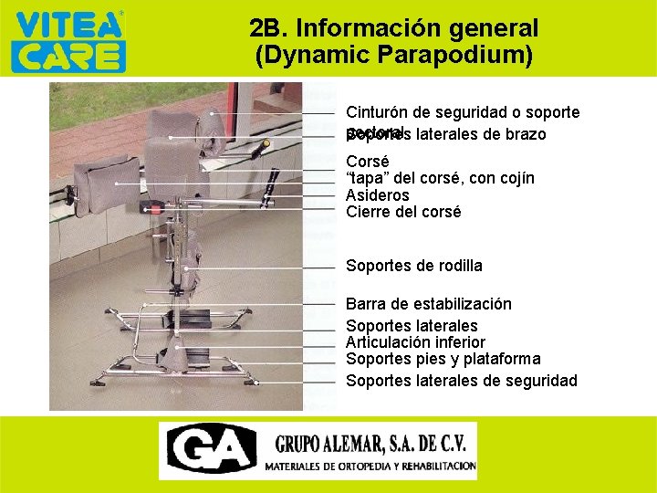 Dynamic Parapodium enjoy movement enjoy life EN MEXICO