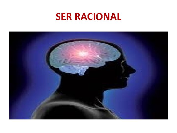 LAS DIMENSIONES HUMANAS DEFINICIN Las dimensiones humanas son