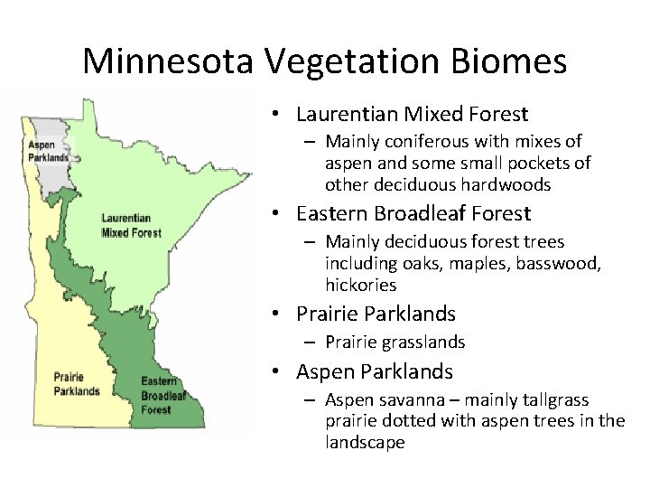 FORESTRY TEST BASICS How To Measure the Diameter