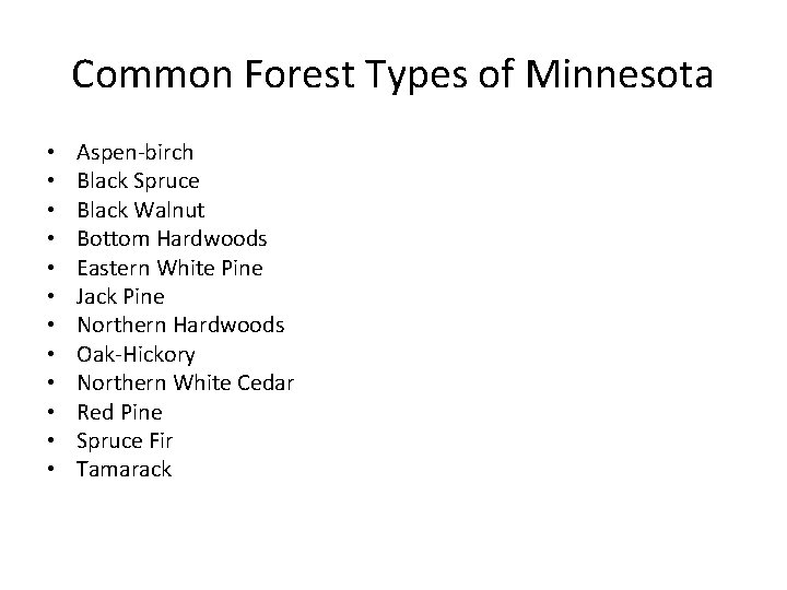 FORESTRY TEST BASICS How To Measure the Diameter