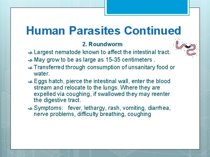 Herbal Defense for Parasites An Exploration of the