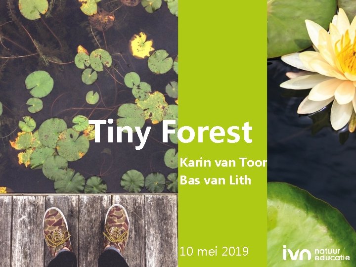Tiny Forest Karin van Toor Bas van Lith