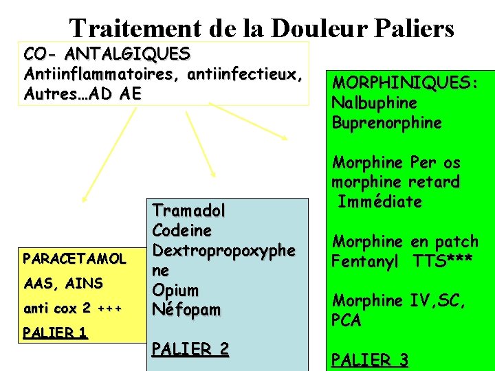 DOULEUR EXCES DE NOCICEPTION INFLAMMATION PARACETAMOL AINS Opioides