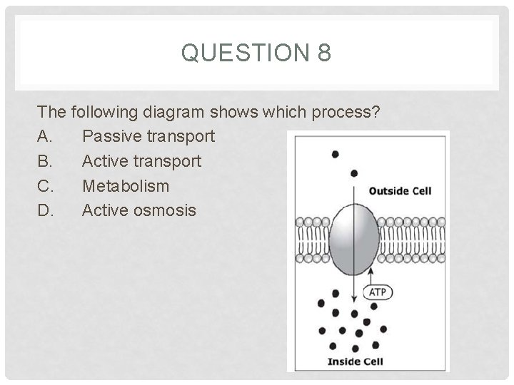 CELL TRANSPORT KEY POINTS 1 Molecules do not