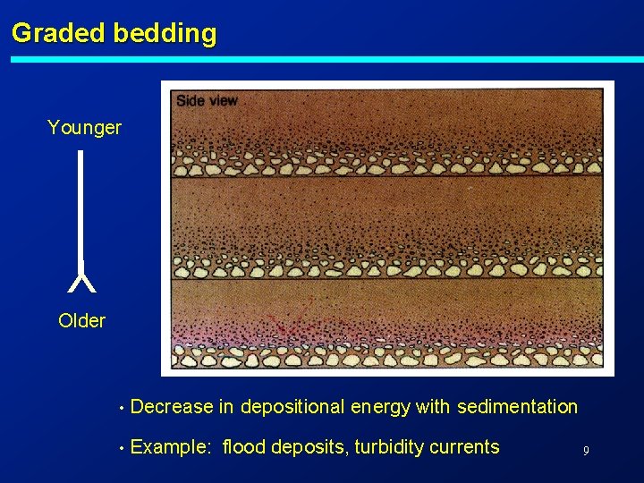 Geology 3120 Sedimentary Structures 1 Outline Review the