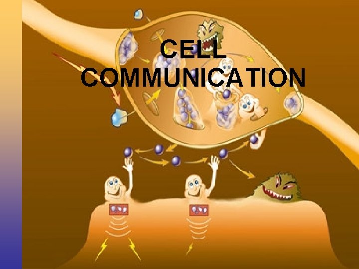 CELL COMMUNICATION Pengertian Cell communication Sistem penghantaran ...