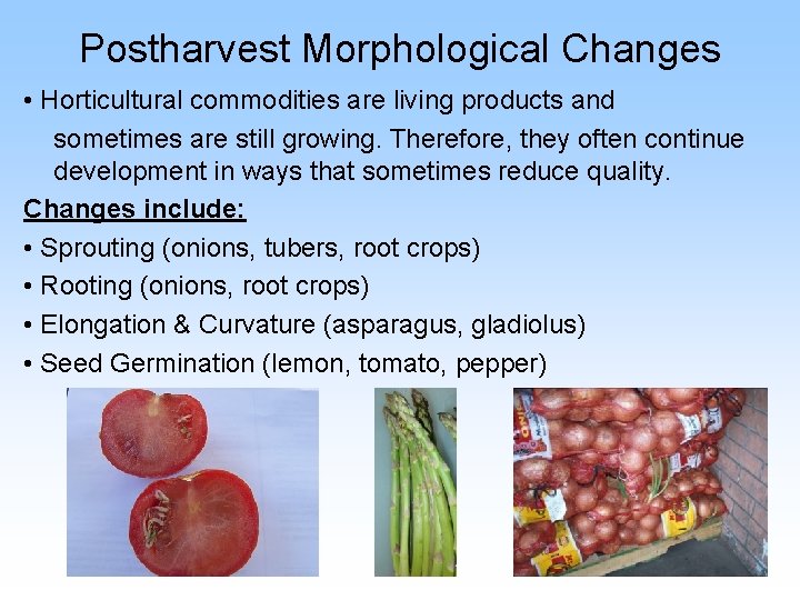 Postharvest losses Postharvest Biology A practical science Primarily
