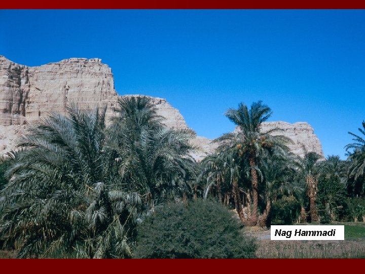 The Nag Hammadi library also known as the