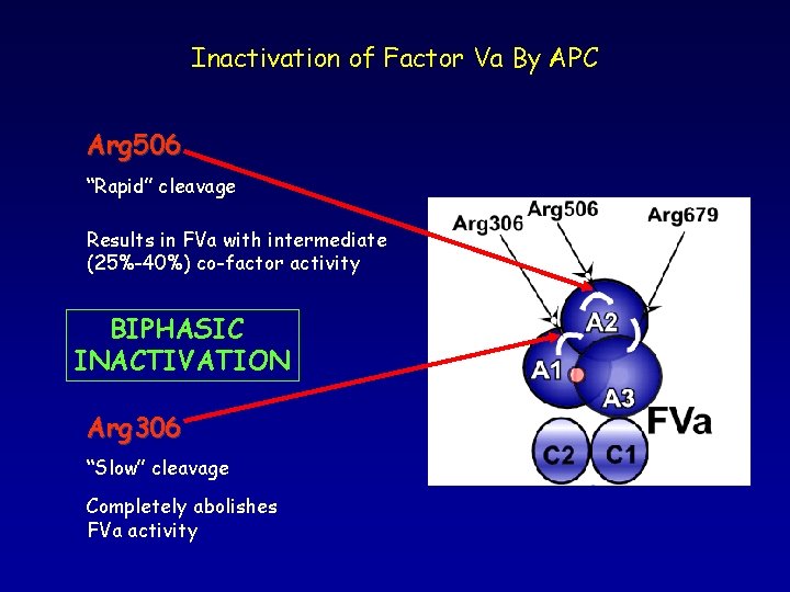 Understanding the scientific literature Reading and evaluation of