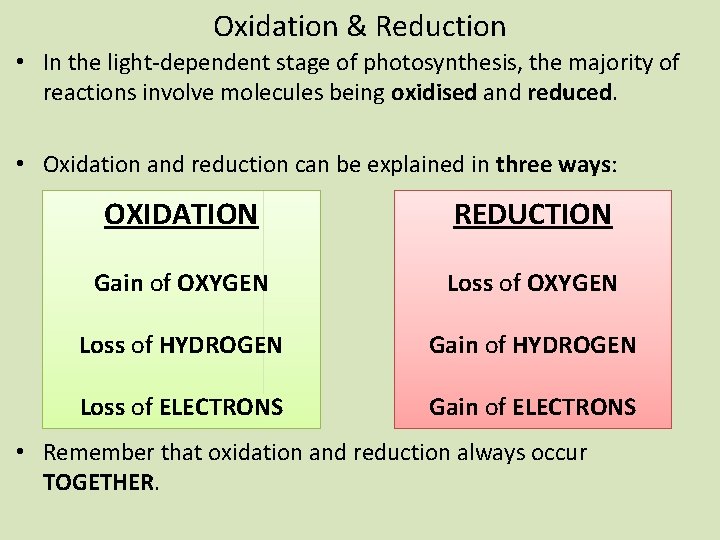 3 2 The LightDependent Reaction Photosynthesis Learning Objectives
