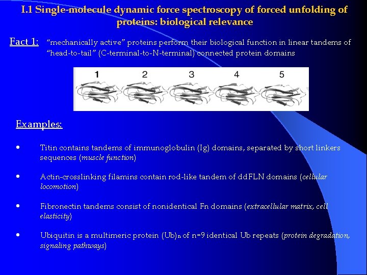 Computer simulations of proteins allatom and coarsegrained models
