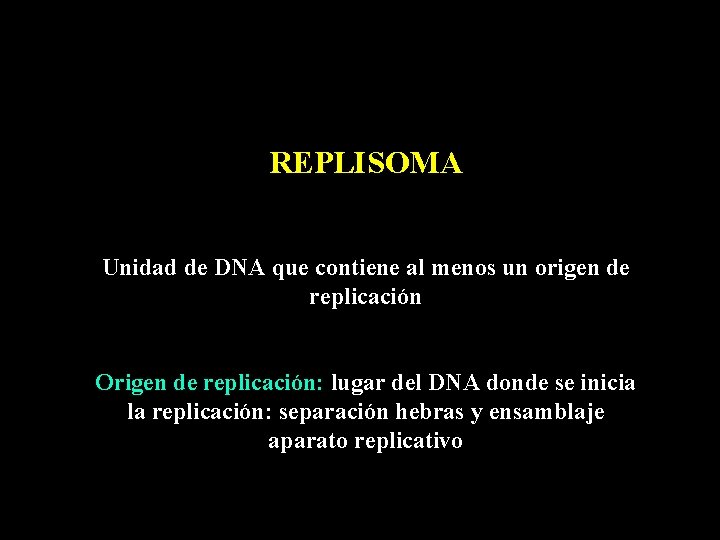 BIOSNTESIS DE MACROMOLCULAS Y REGULACIN DEL METABOLISMO Profesor