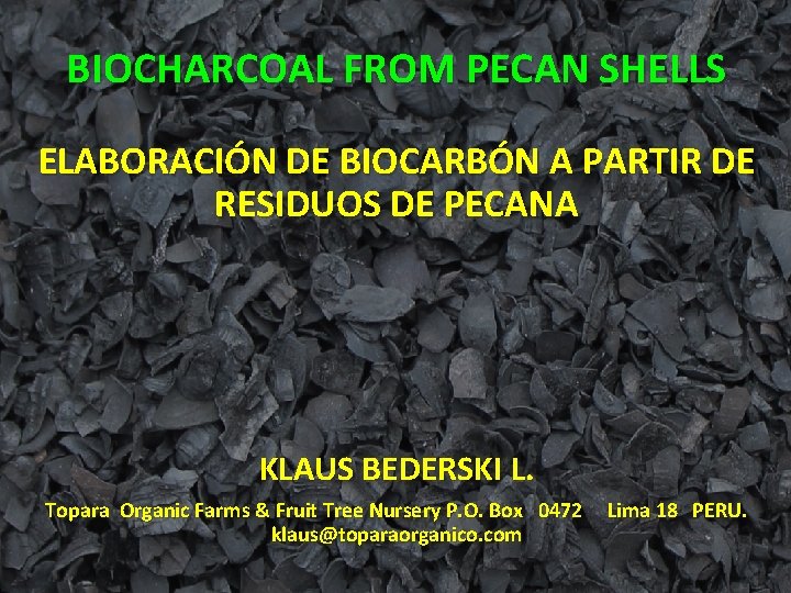 BIOCHARCOAL FROM PECAN SHELLS ELABORACIN DE BIOCARBN A