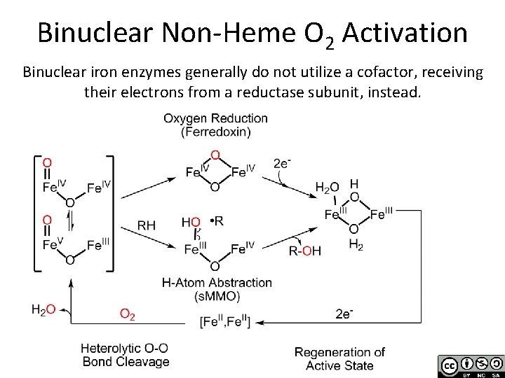 5 Slides About Dioxygen Activation in NonHeme Iron
