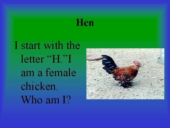 Farm Animals Who am I Chicken We eat