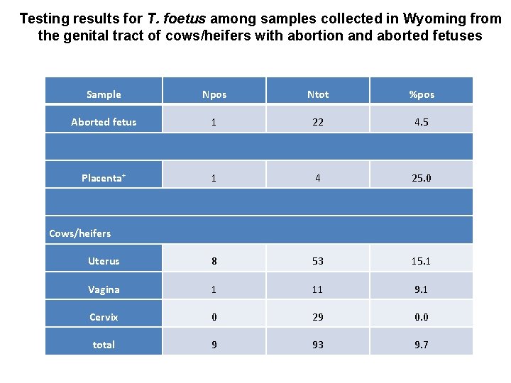 Bovine trichomoniasis in beef cattle in Wyoming USA