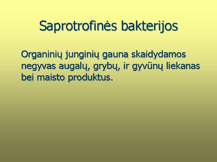 Bakterij mityba Bakterijos Autotrofins bakterijos Parazitins bakterijos ...