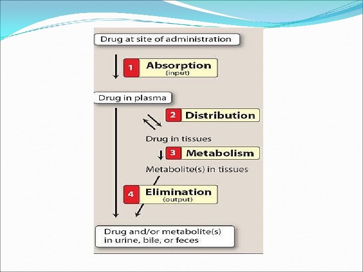 ABSORPTION OF DRUGS DR SOBAN SADIQ Pharmacokinetics Absorption