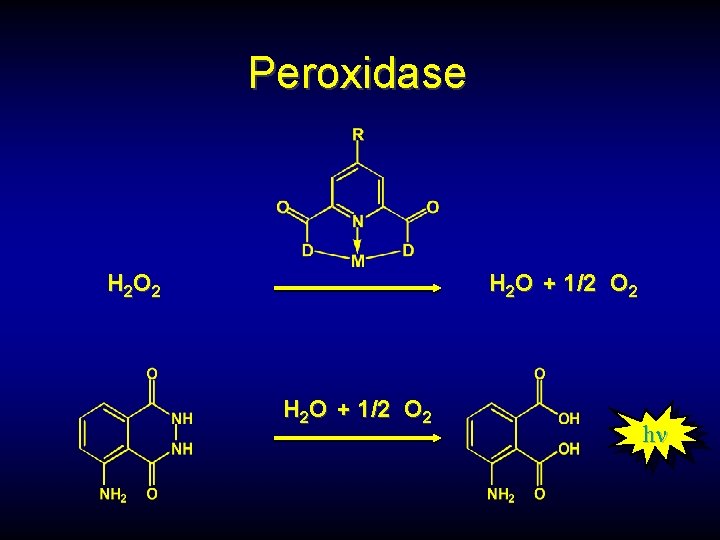 Was macht eigentlich ein Chemiker Organische Chemie Bioorganische