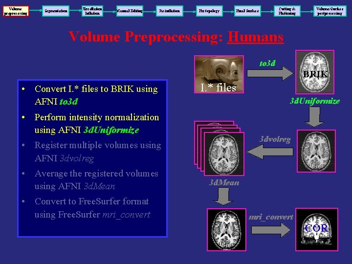 FREESURFER RECONSTRUCTING THE NONHUMAN BRAIN Peggy Christidis July