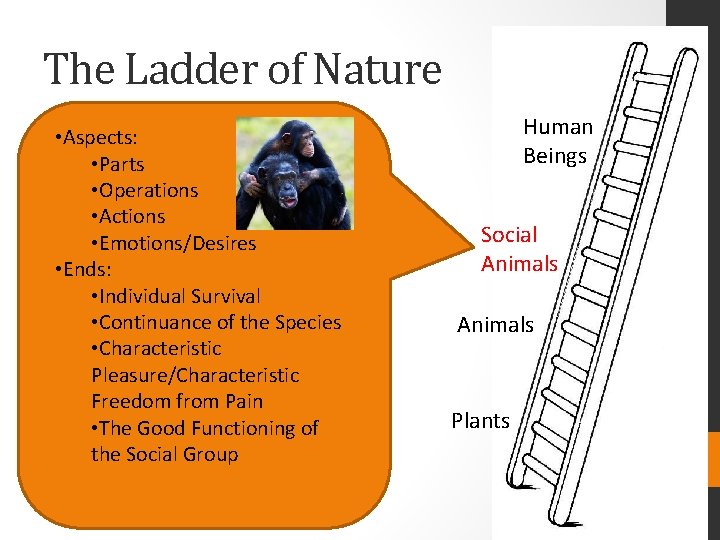 Martha Nussbaums NonRelative Virtues An Aristotelian Approach Introduction