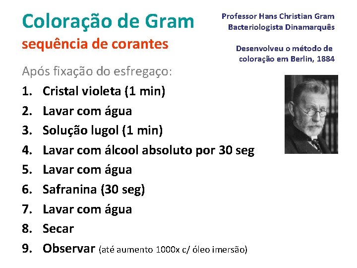 MICROBIOLOGIA Colorao de Gram Motilidade de bactrias Classificao