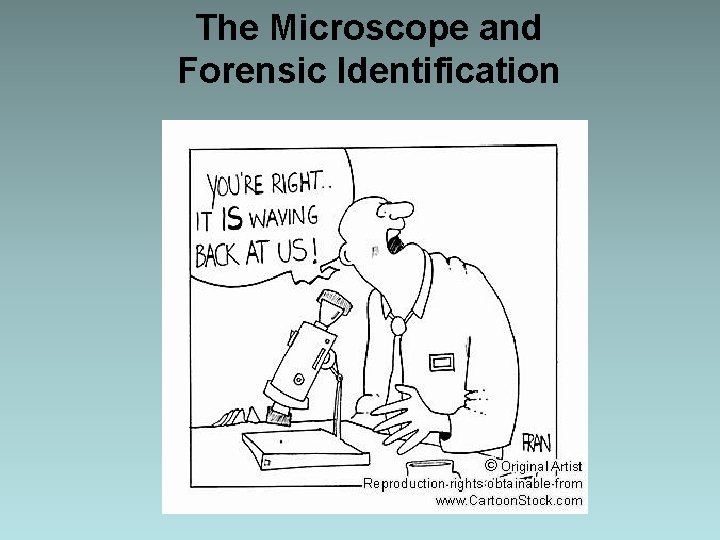 The Microscope and Forensic Identification Magnification of Images