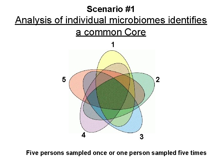 NIH Roadmap Human Microbiome Project Workshop Cochairs Jo