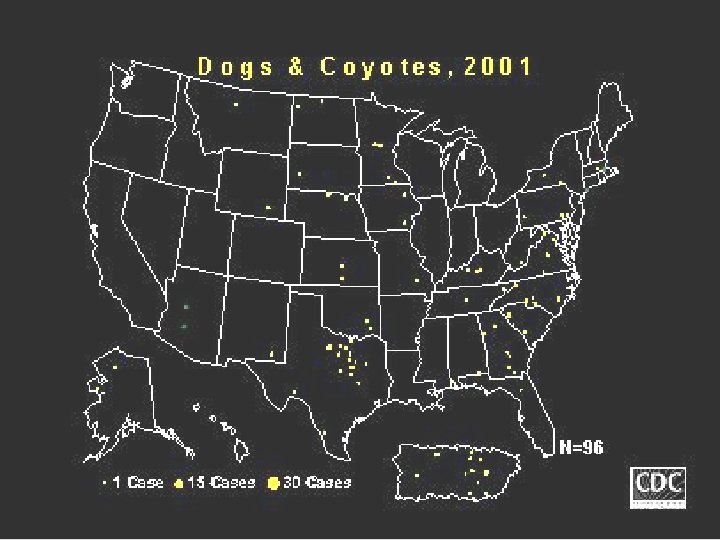Rabies Paul R Earl Facultad de Ciencias Biolgicas